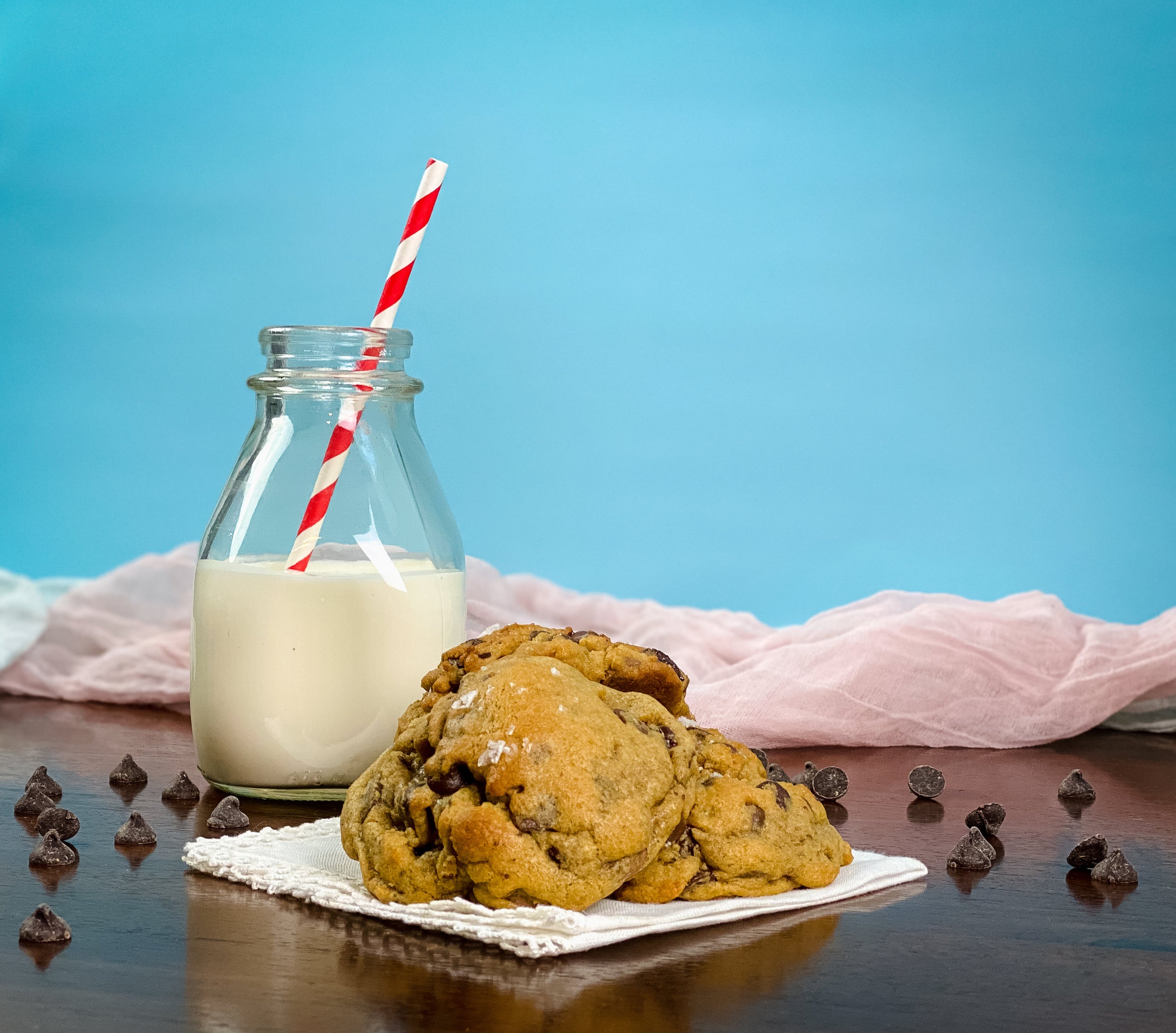 Try Me Cookie Four Pack | One-Eyed Cookie Lab