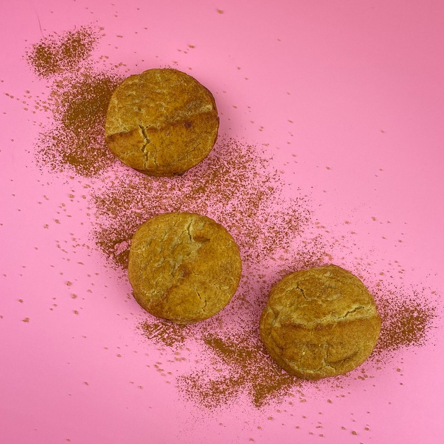 Snickerdoodle | One-Eyed Cookie Lab